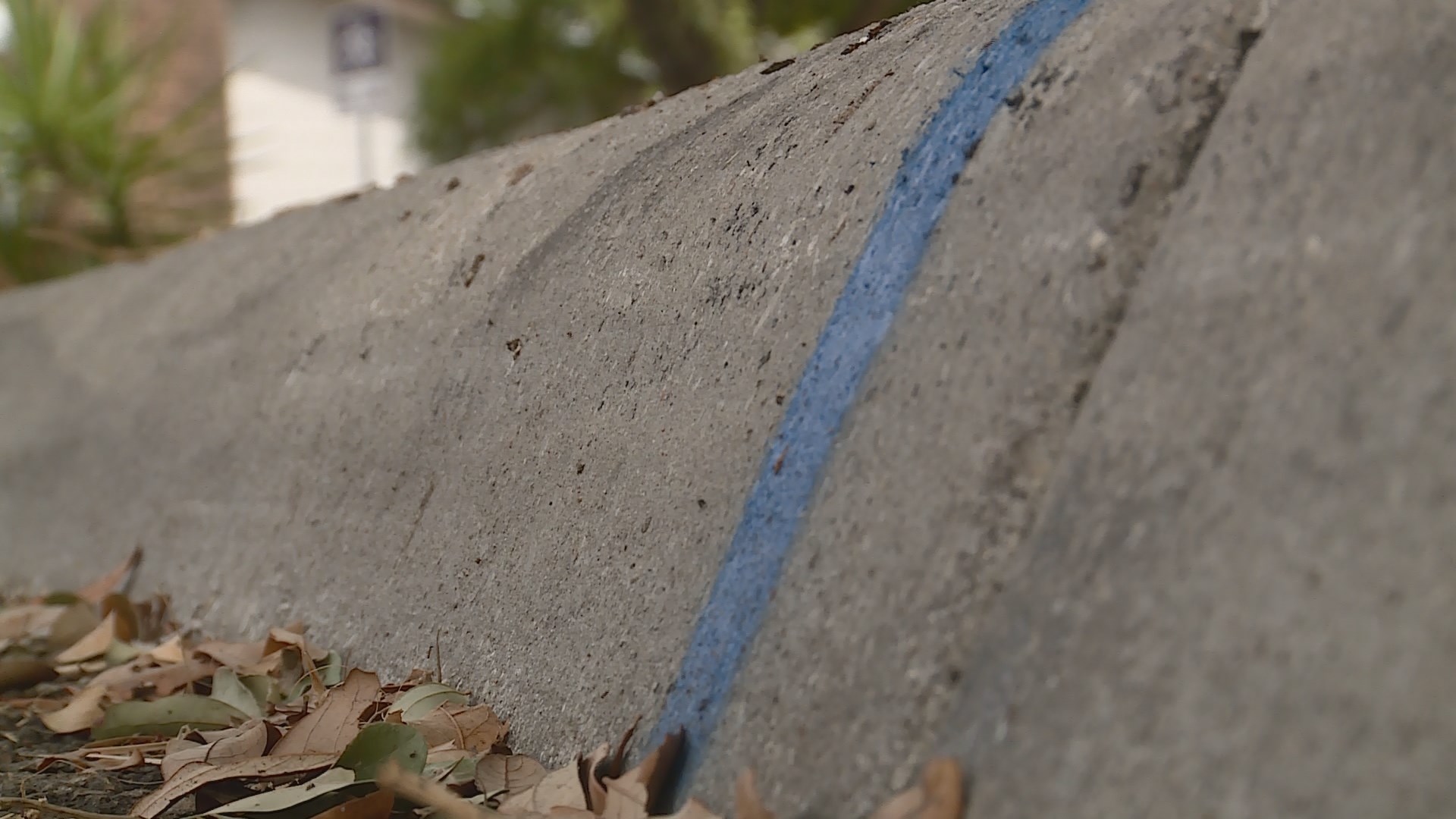 Blue lines popping up on curbs to show support for police | kens5.com