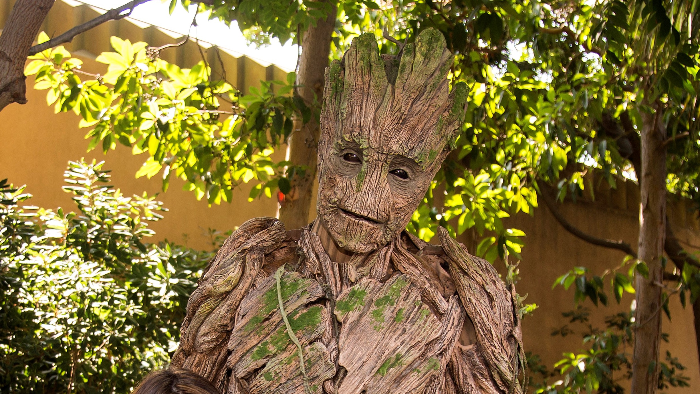 Teacher uses Marvel movies for assignment, student writes ‘I am Groot ...